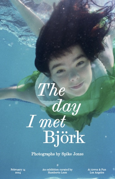 The Day I Met Björk | WeTransfer x Spike Jonze